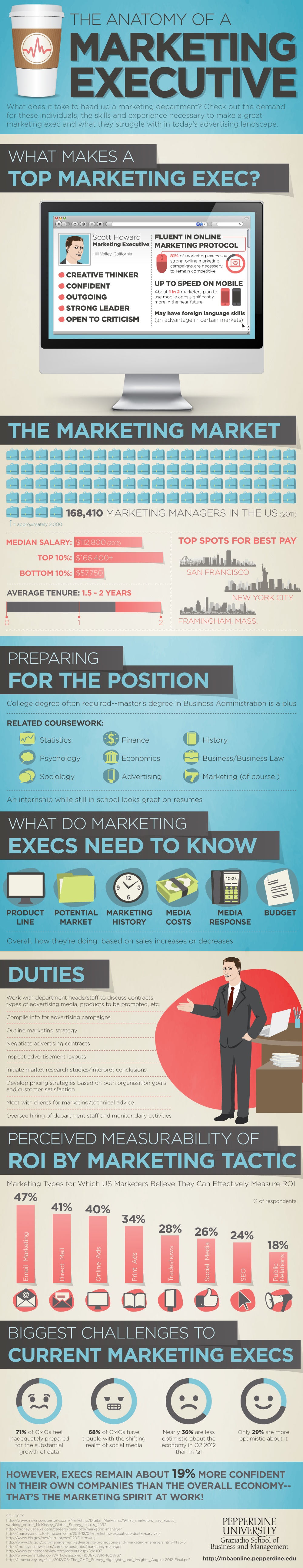 Deep Insights into the Anatomy of a Marketing Executive [infographic]